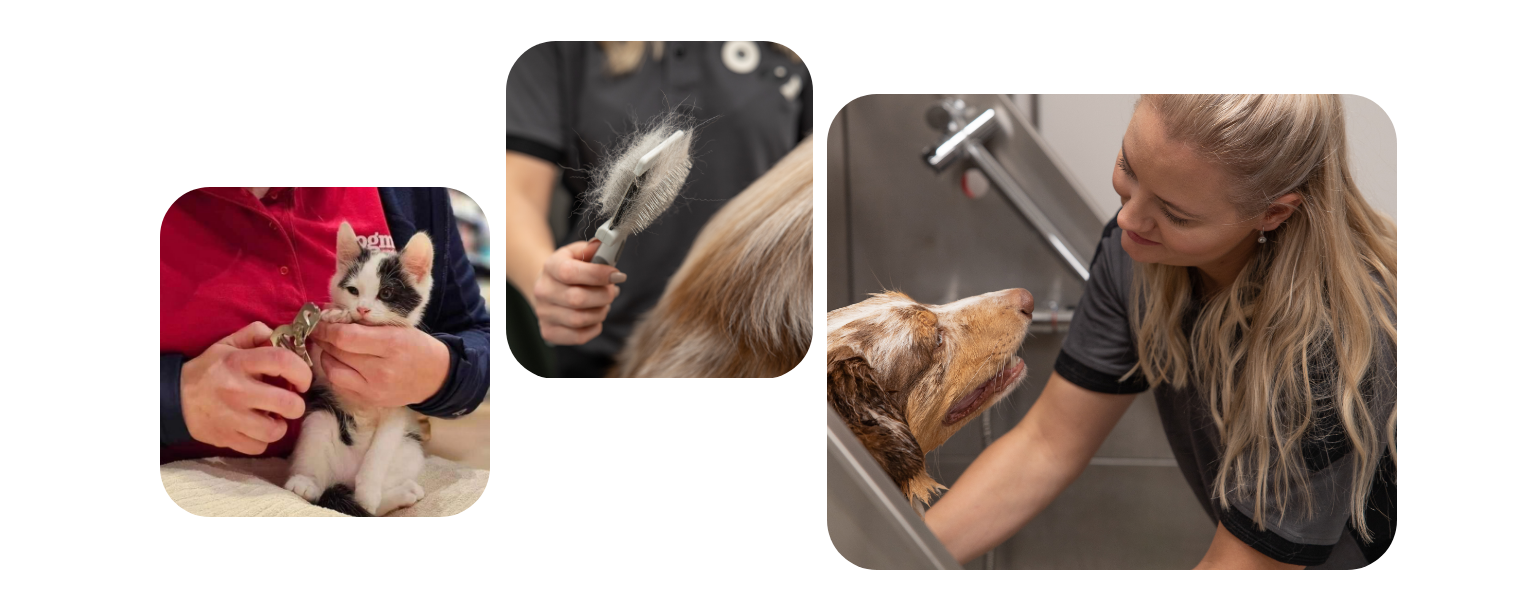 Dogman and Friends Helsingborg, Väla